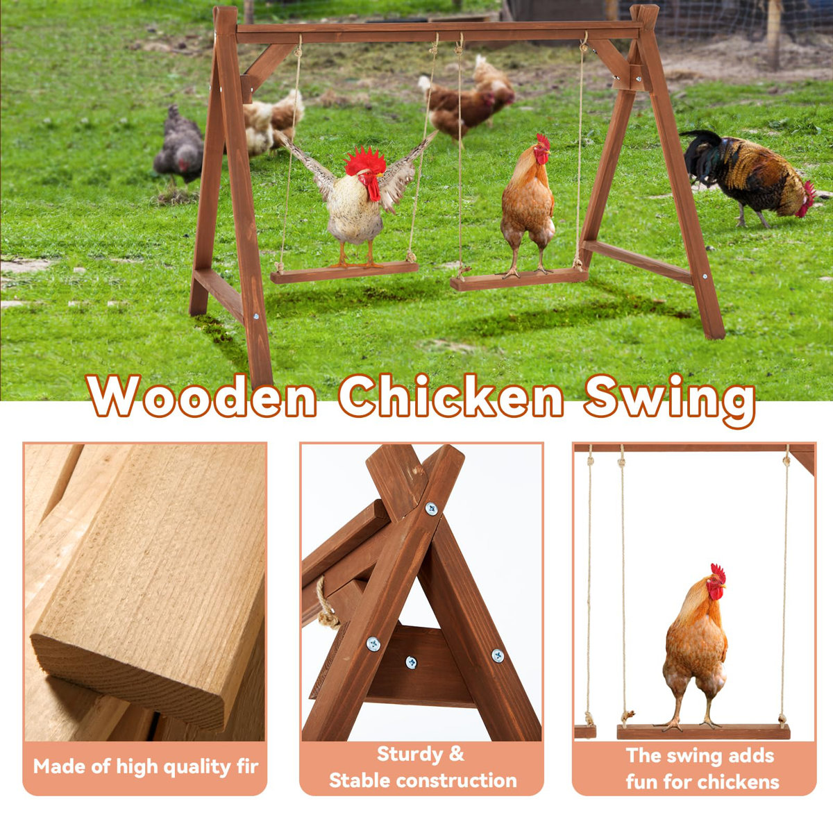 Ophelia & Co. Chicken Perch Pole With 2 Chicken Swings, Suitable For 6 ...