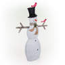 The Holiday Aisle® Snowman Lighted Display & Reviews | Wayfair