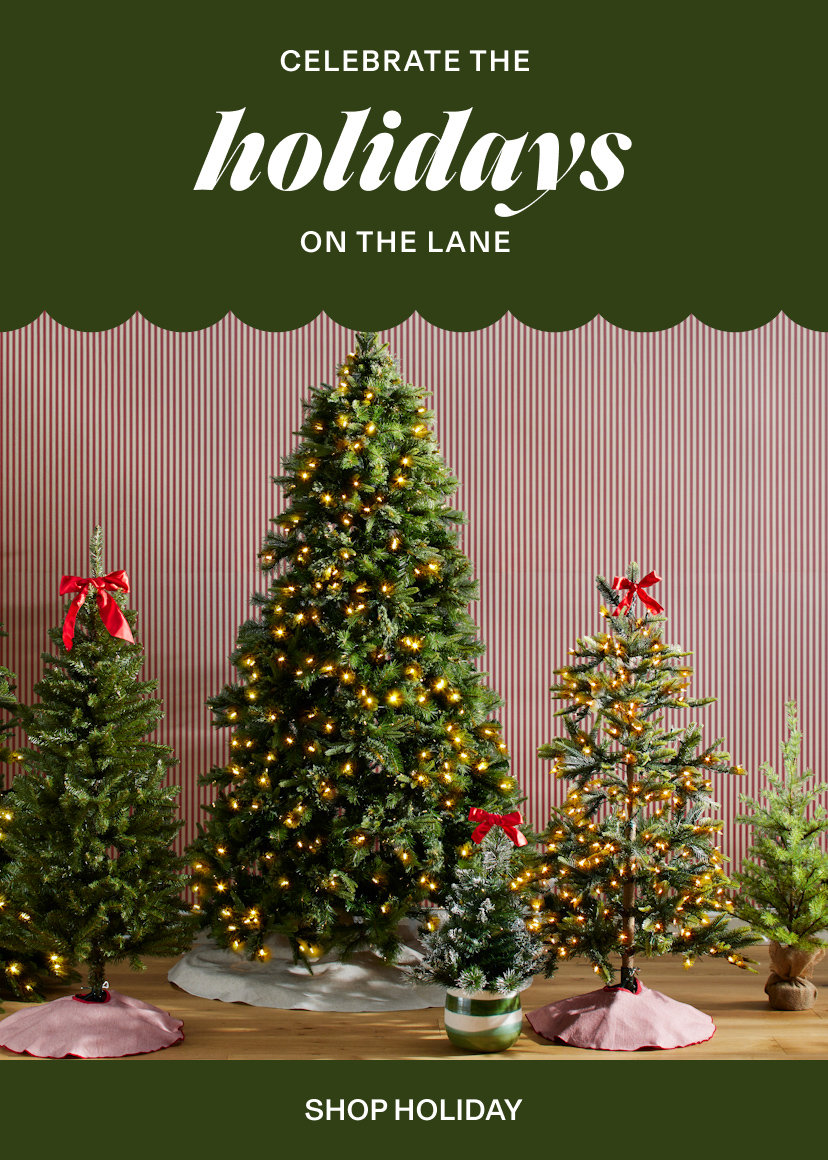 Birch Lane | Classic Style For Joyful Living - Farmhouse & Traditional ...