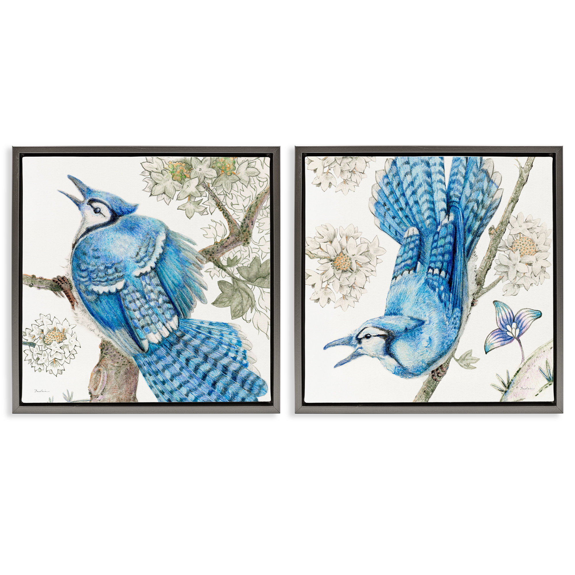 Lark Manor™ Blue Jays with Blossoms 2 PC Framed Floater Canvas Set by ...