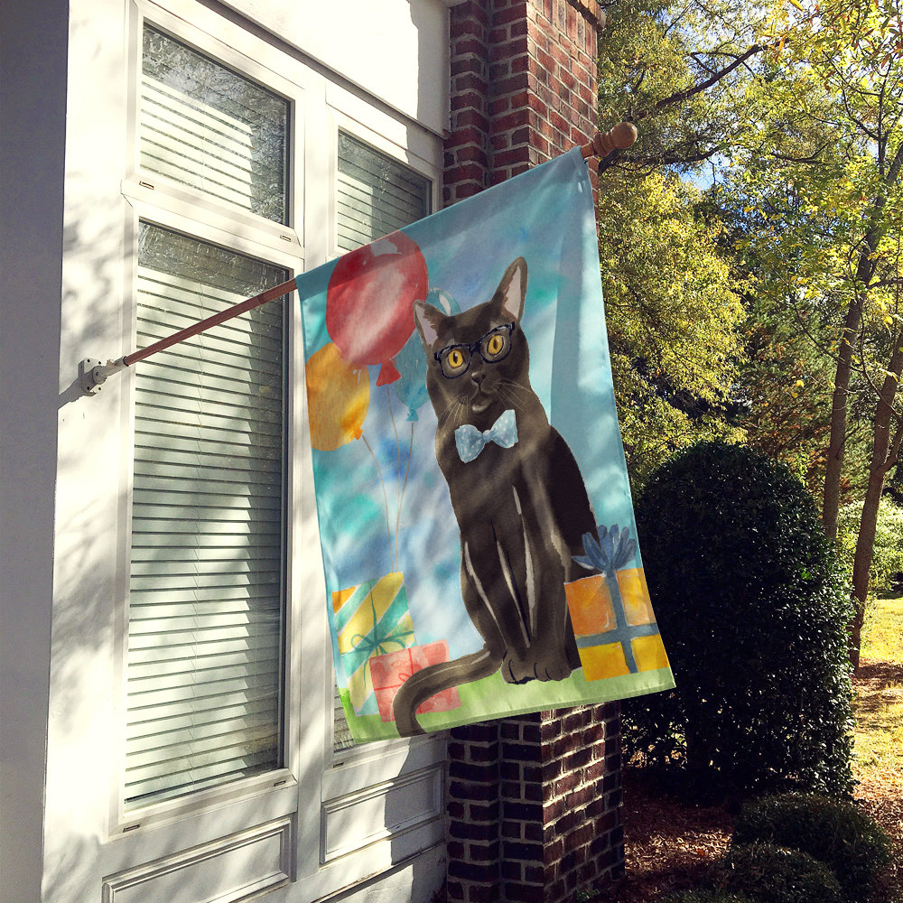 The Party Aisle™ Moynihan 2-Sided Polyester 40 x 28 in. House Flag ...