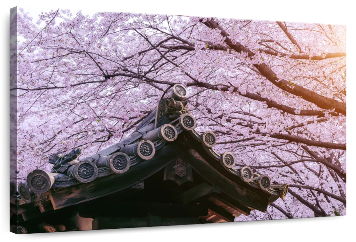 Elephant Stock Blossoming Sakura Tree | Wayfair