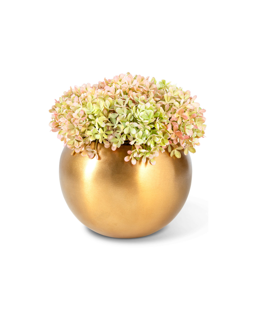 CocoBella Timeless Living Ozias Gold Snowball | Wayfair