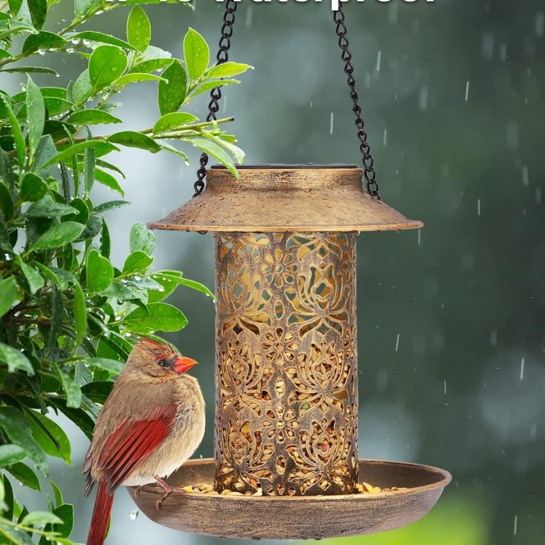 Arlmont & Co. Solar Bird Feeder For Outdoors Hanging, Metal Wild Bird ...
