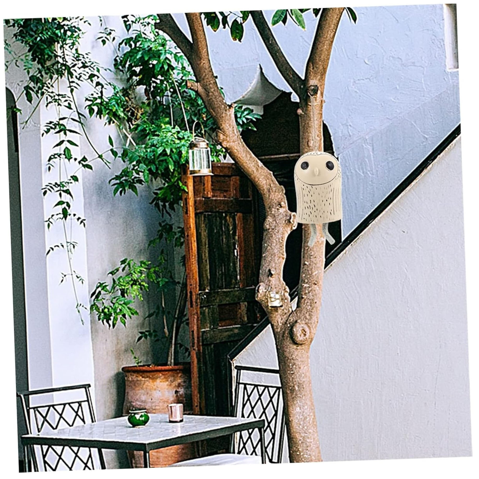 Bungalow Rose Charming Wind Chimes for Outdoor and Home Decor - PVC ...