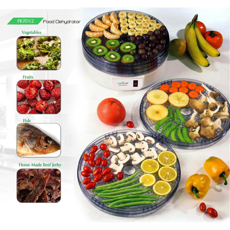 NutriChef 5 Tray Electric Food Dehydrator | Wayfair