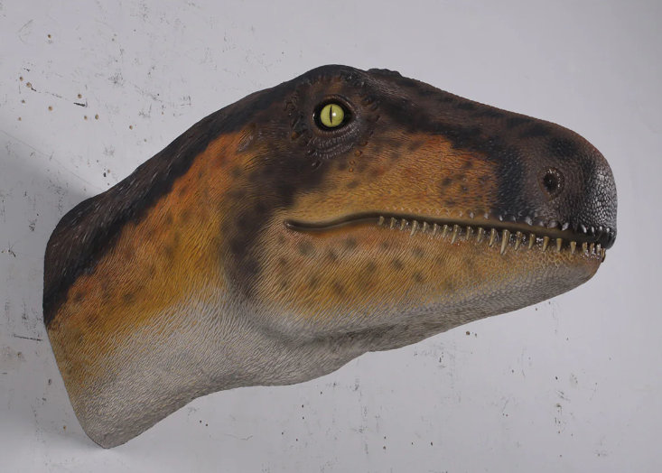 Trinx Johen Theropod Dinosaur Head Life Size Statue | Wayfair