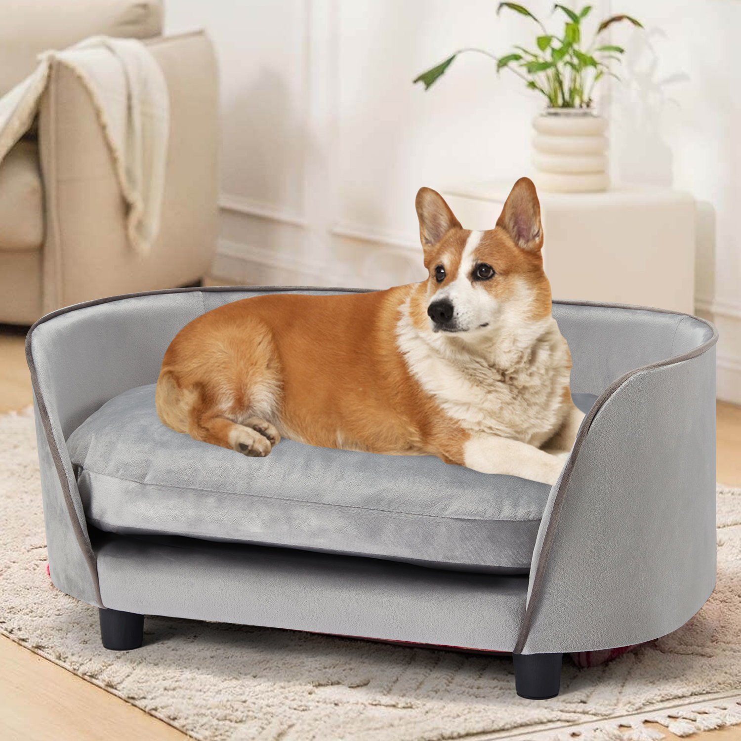 aldi pet bed couch