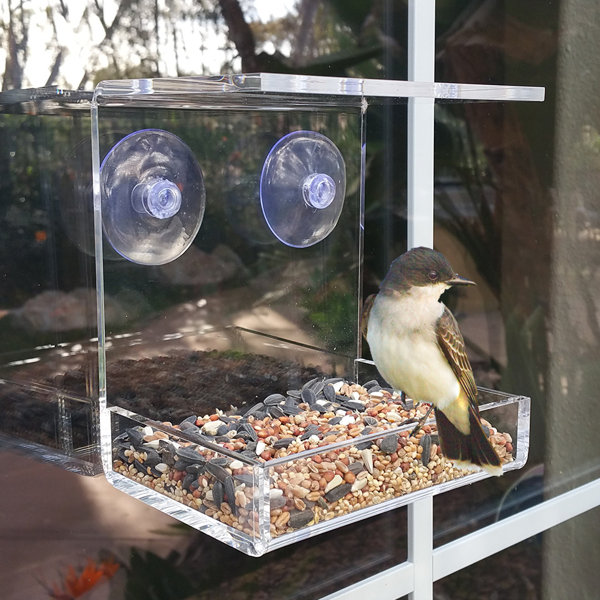 Tucker Murphy Pet™ Coria Window Mounted Tray Bird Feeder | Wayfair