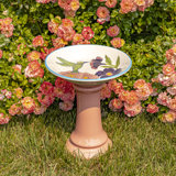 Wayfair | Ceramic Bird Baths You'll Love in 2023