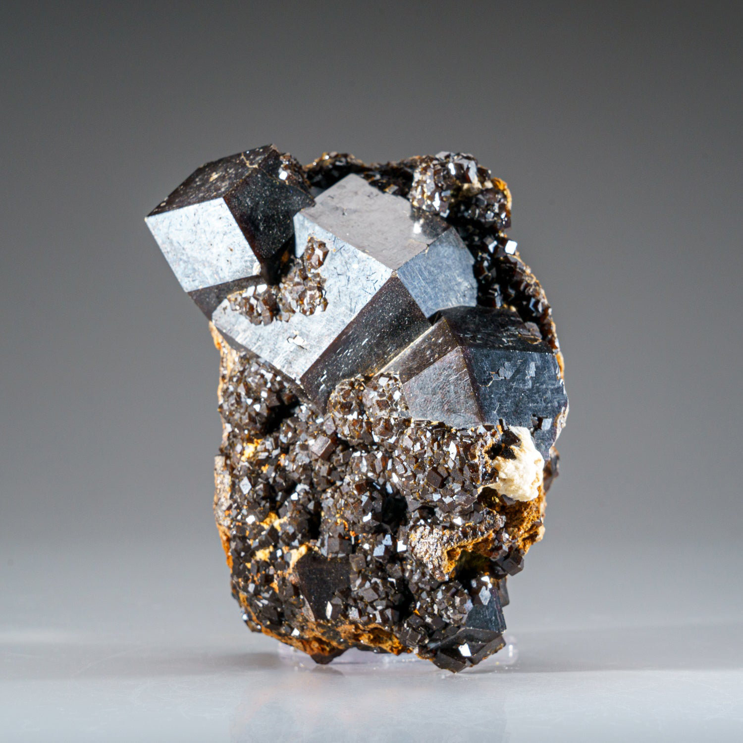 Astro Gallery of Gems Melanite Garnet Crystal from Ojos Espanoles Mine ...