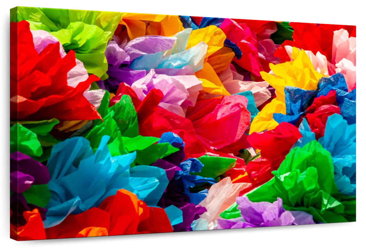 Wade Logan Avery Tissue Paper Flowers - Wayfair Canada