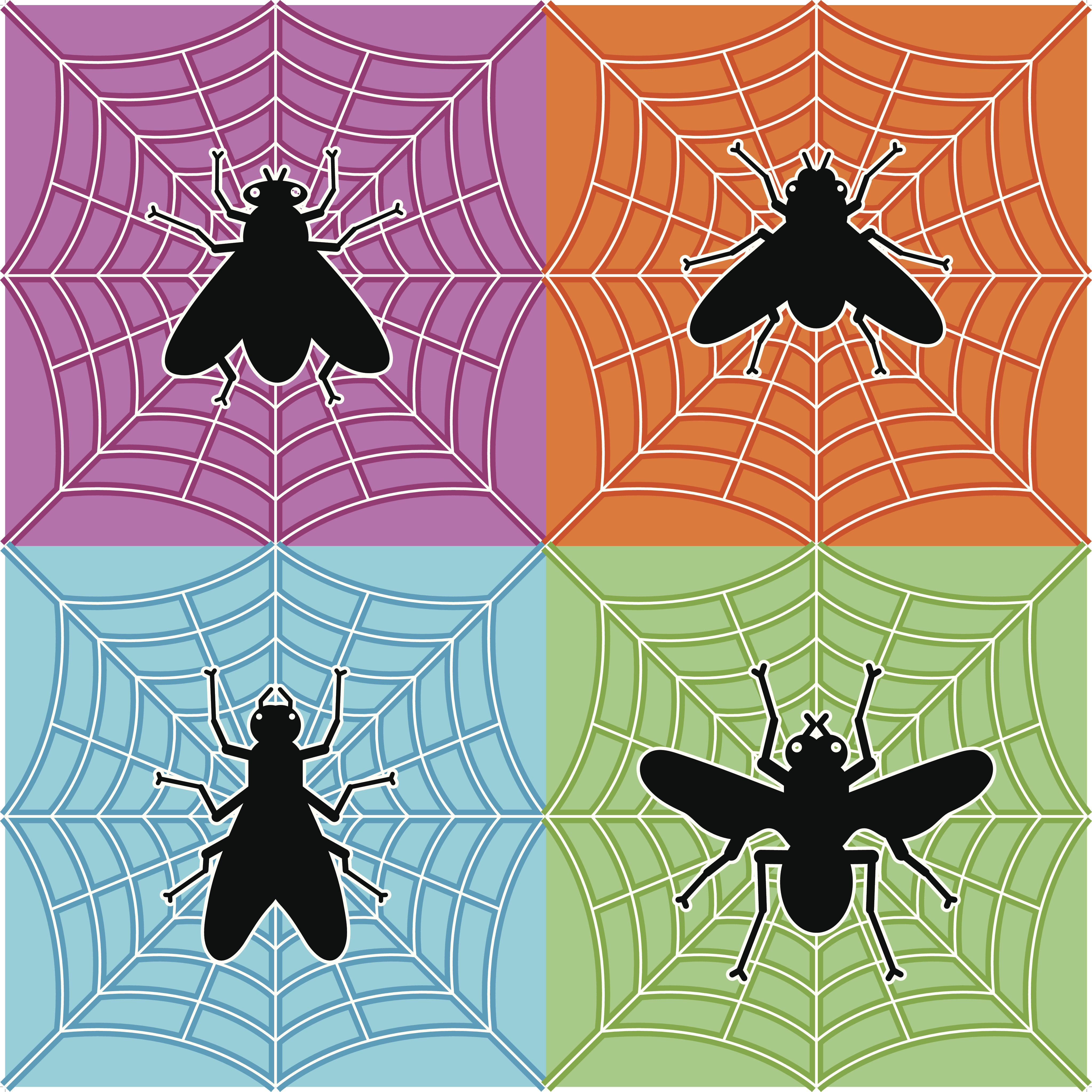 ClassicLiving Berriman Flies in Spider's Web - Wrapped Canvas Graphic ...