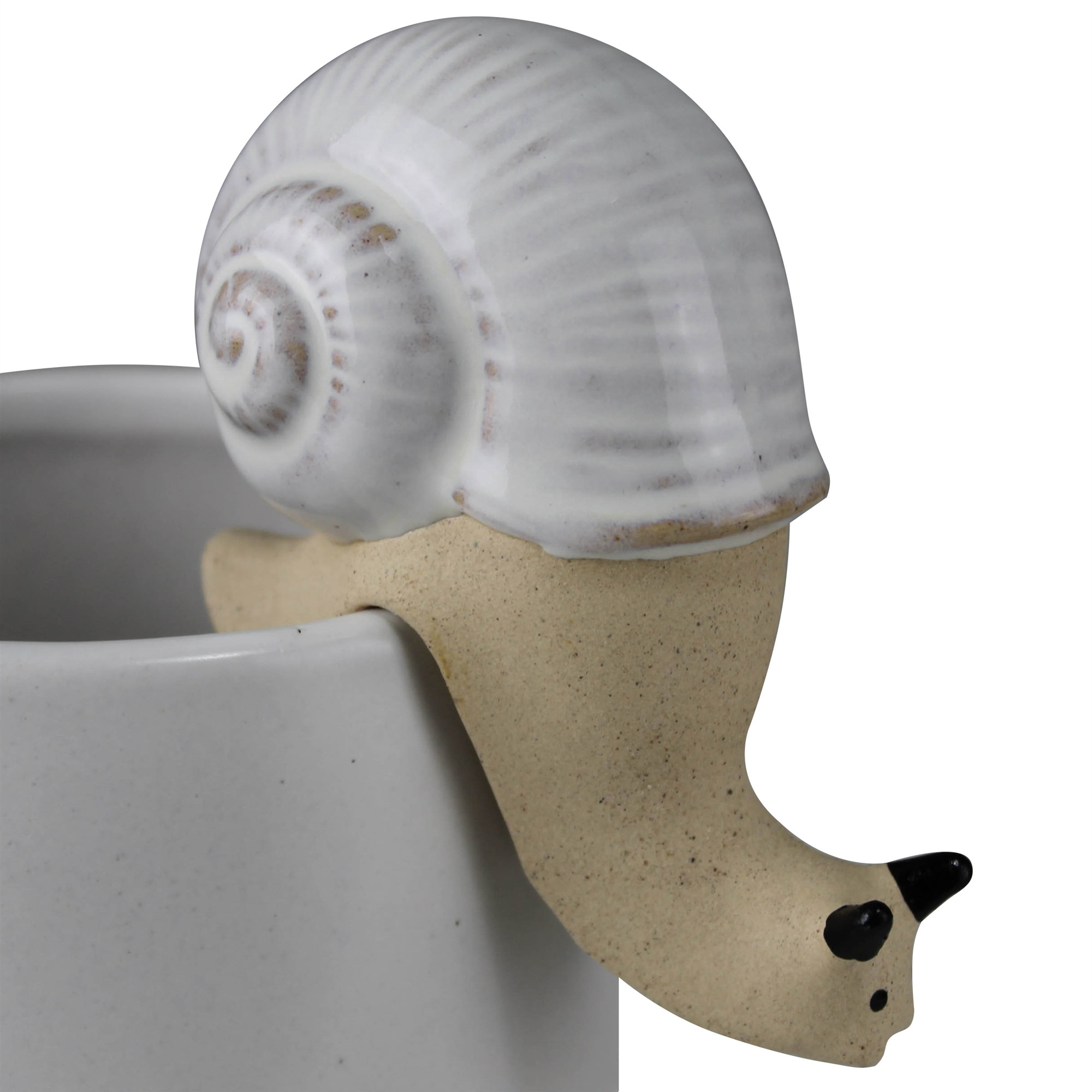 Trinx Snail Pot Percher | Wayfair
