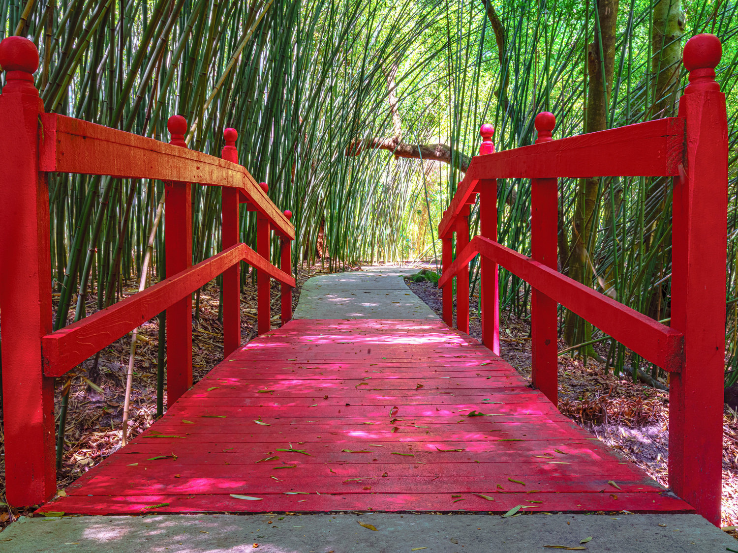 Made & Curated Kanapaha Botanical Gardens Red Bridge Gainesville ...