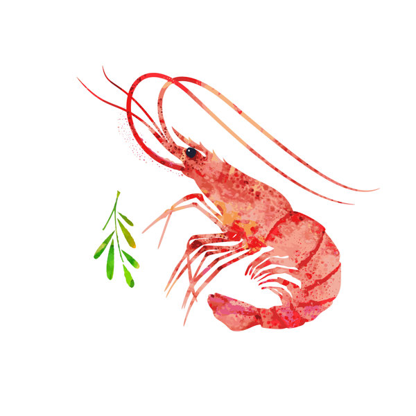 House of Hampton Red prawn or shrimp | Wayfair.co.uk