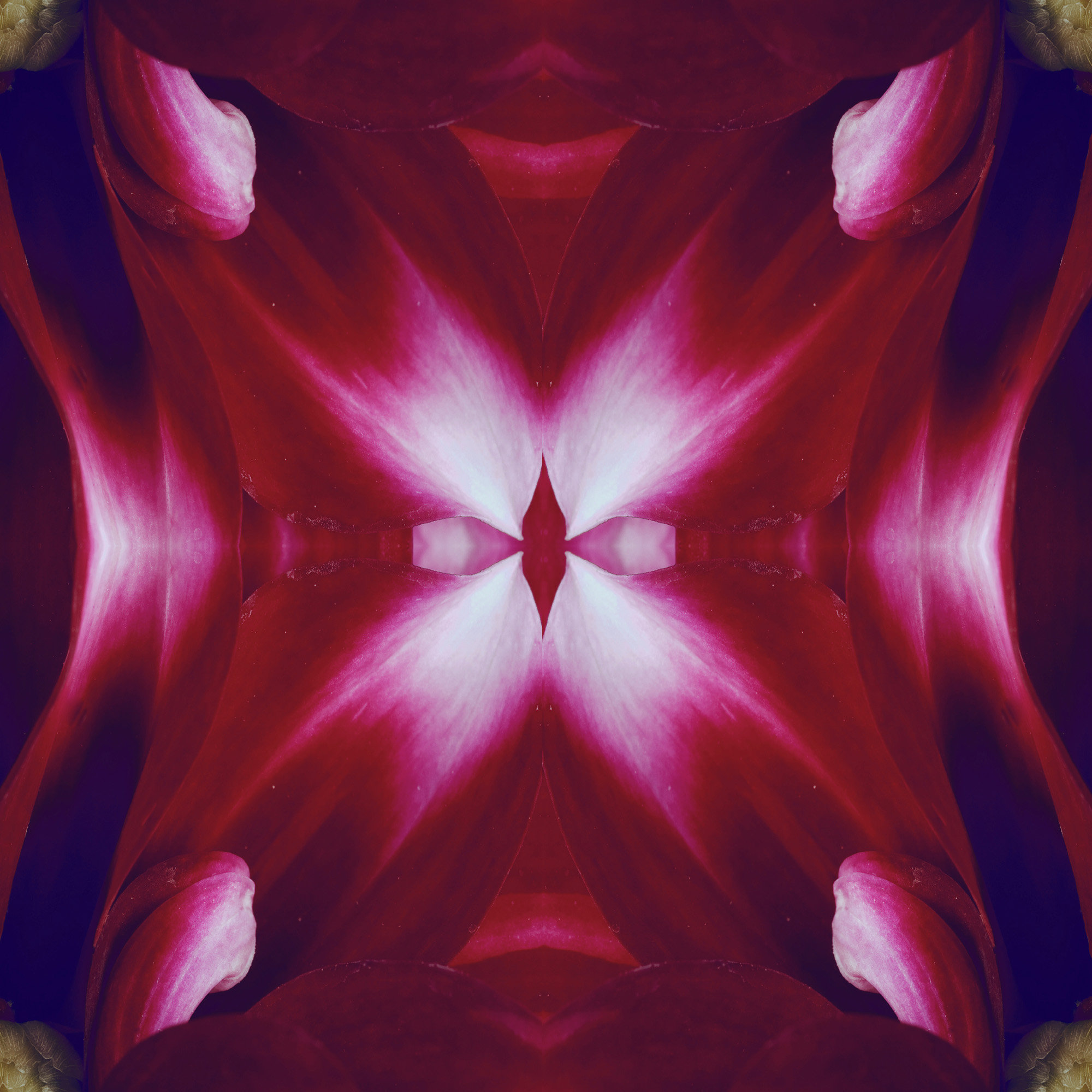 Wendover Art Group Ruby Kaleidoscope | Wayfair