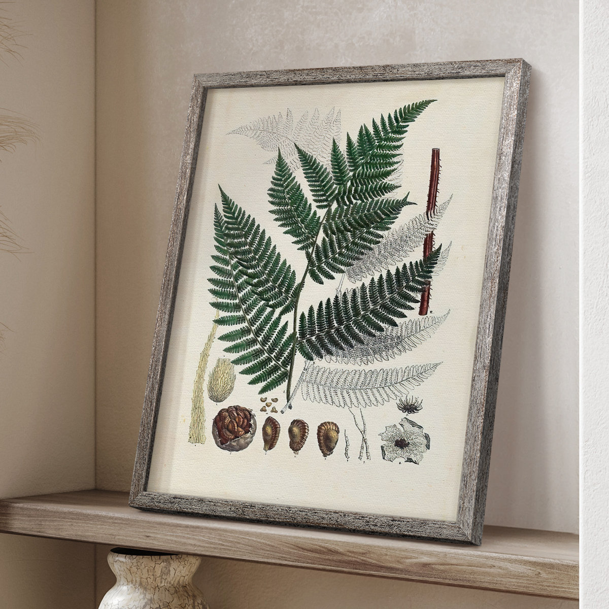 Winston Porter Collected Ferns IV Framed Print - Solid Wood | Wayfair