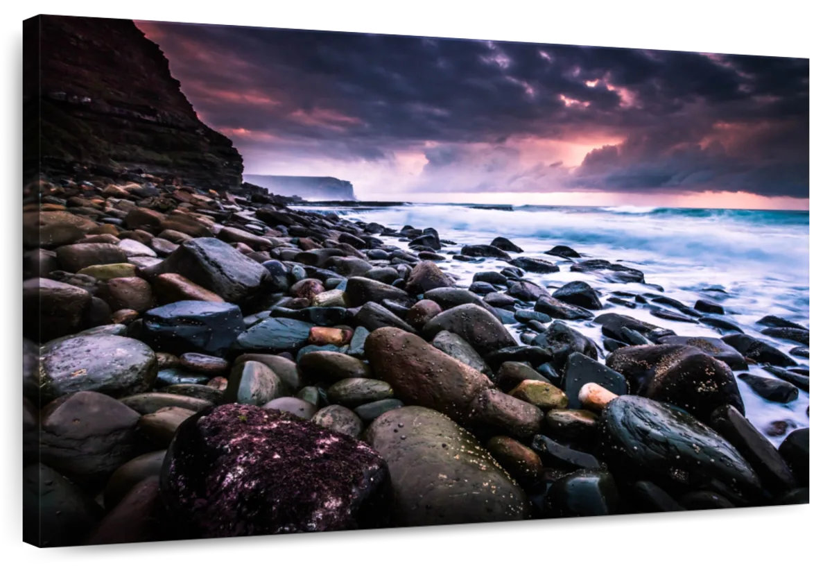 Elephant Stock Coastal Scenery | Wayfair