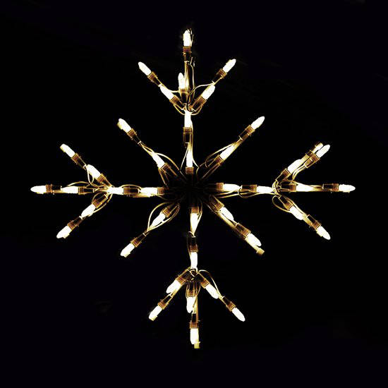 The Holiday Aisle® 48 Point Star Center Snowflake Lighted Display ...