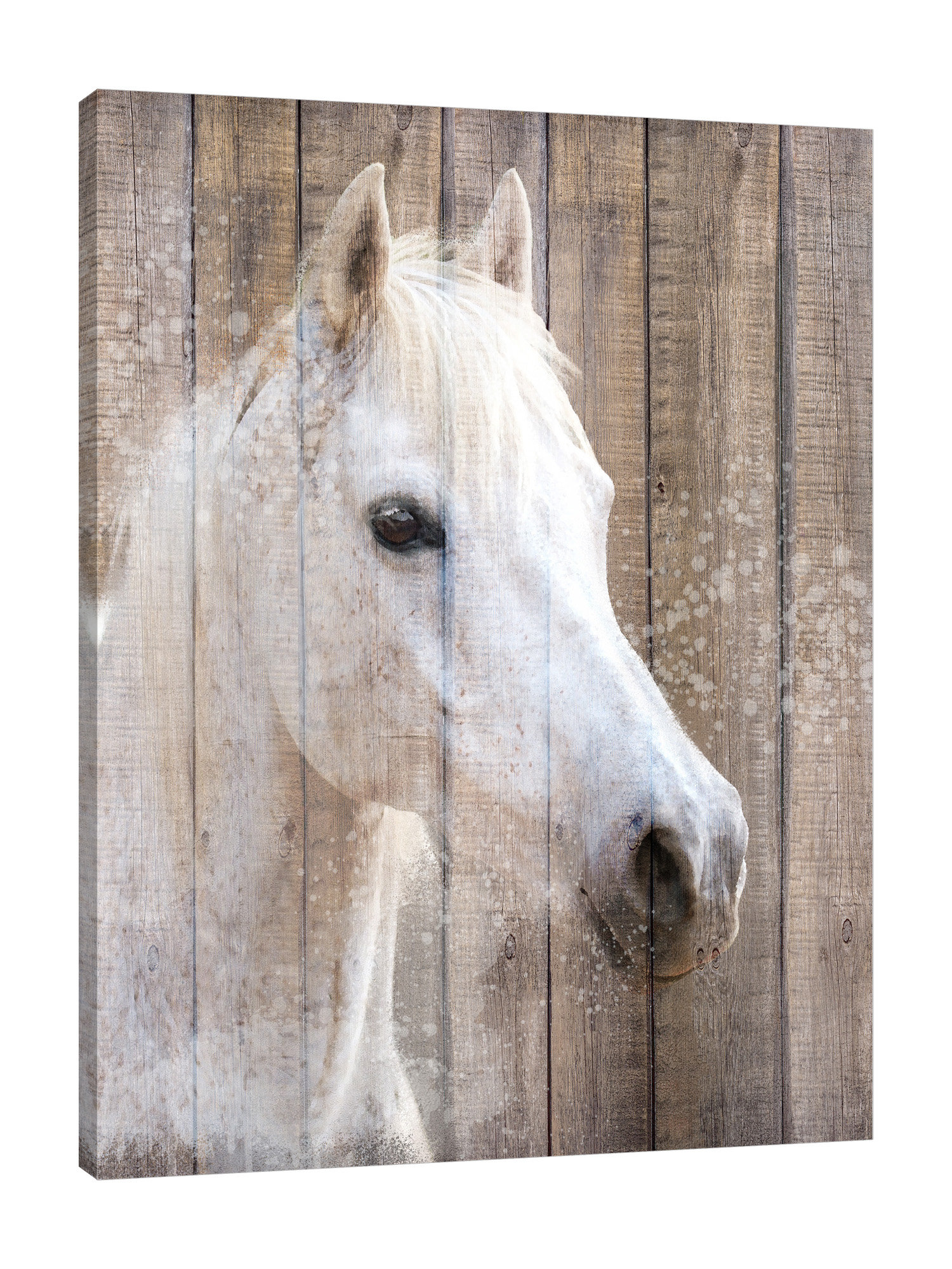 Jaxson Rea "Painted White" Gallery Wrapped Canvas By Kimberly Allen ...
