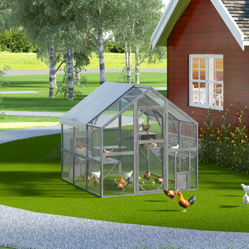 Tucker Murphy Pet™ Eather Chicken Run & Reviews | Wayfair