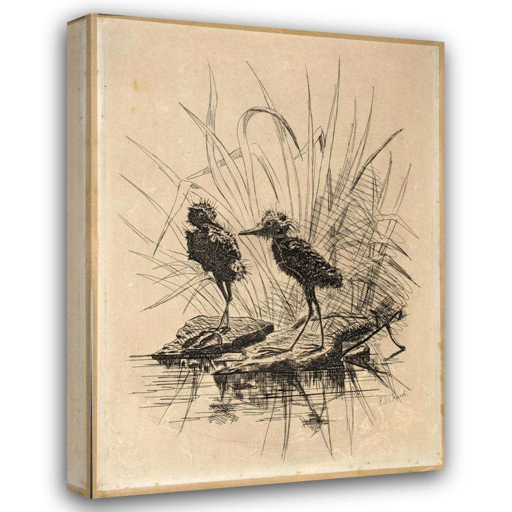 Lark Manor™ "Two Birds" by Frederick Stuart Church - Gallery Wrap ...