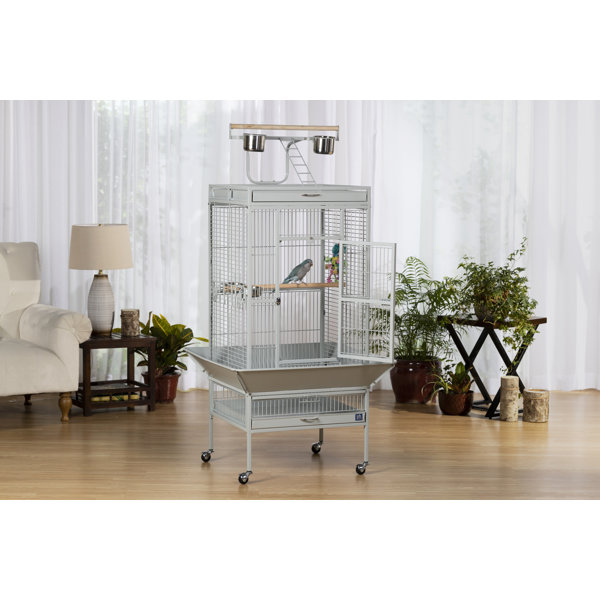 Large Bird Cages | Wayfair