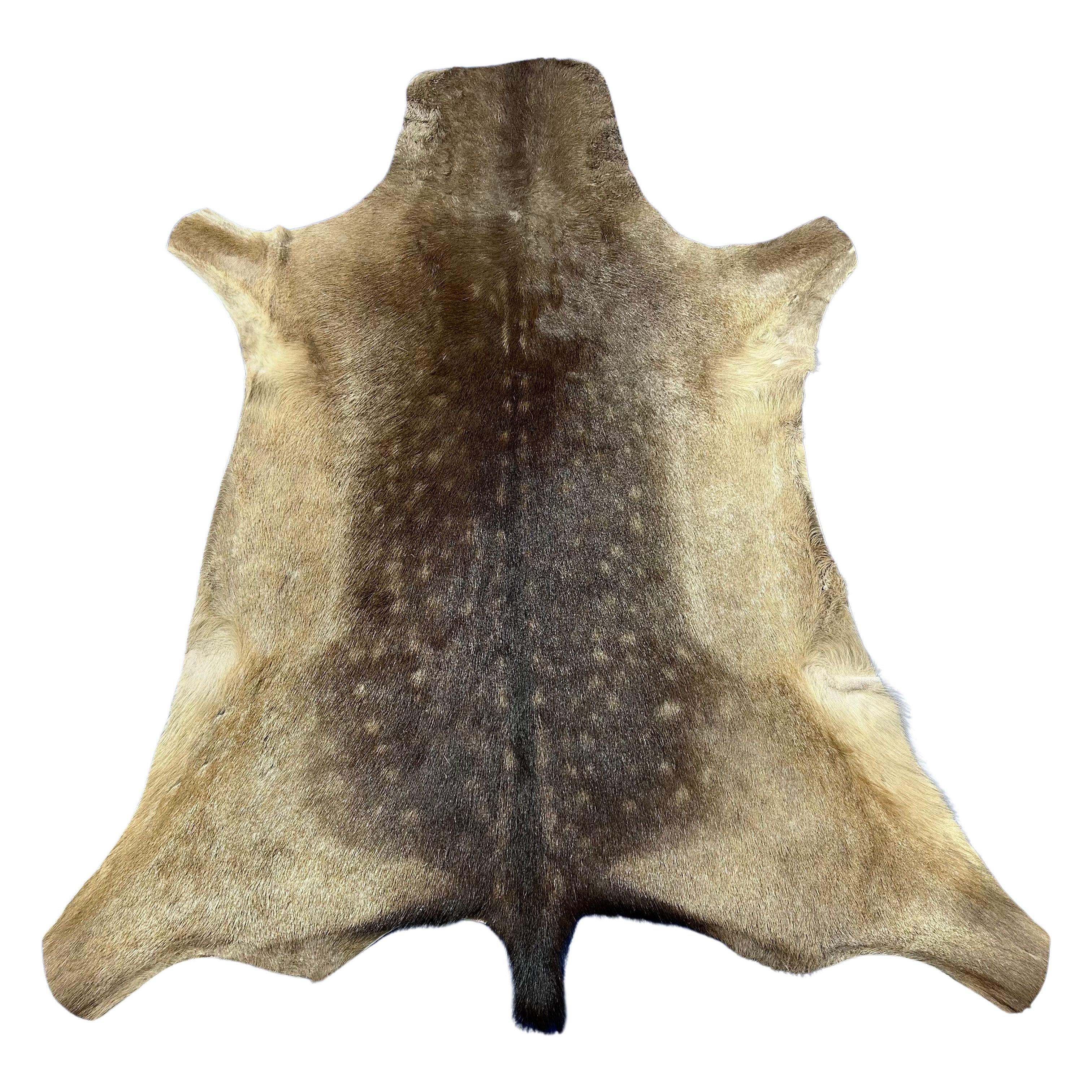 Foundry Select Real Fallow Deer Skin Rug | Wayfair