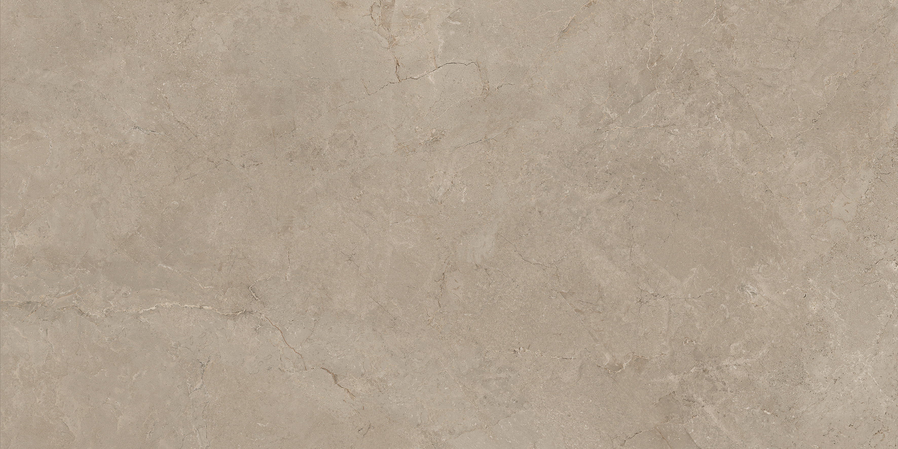 Emser Tile Terramor Grigio 24 In. X 47 In. Honed Porcelain Floor And ...
