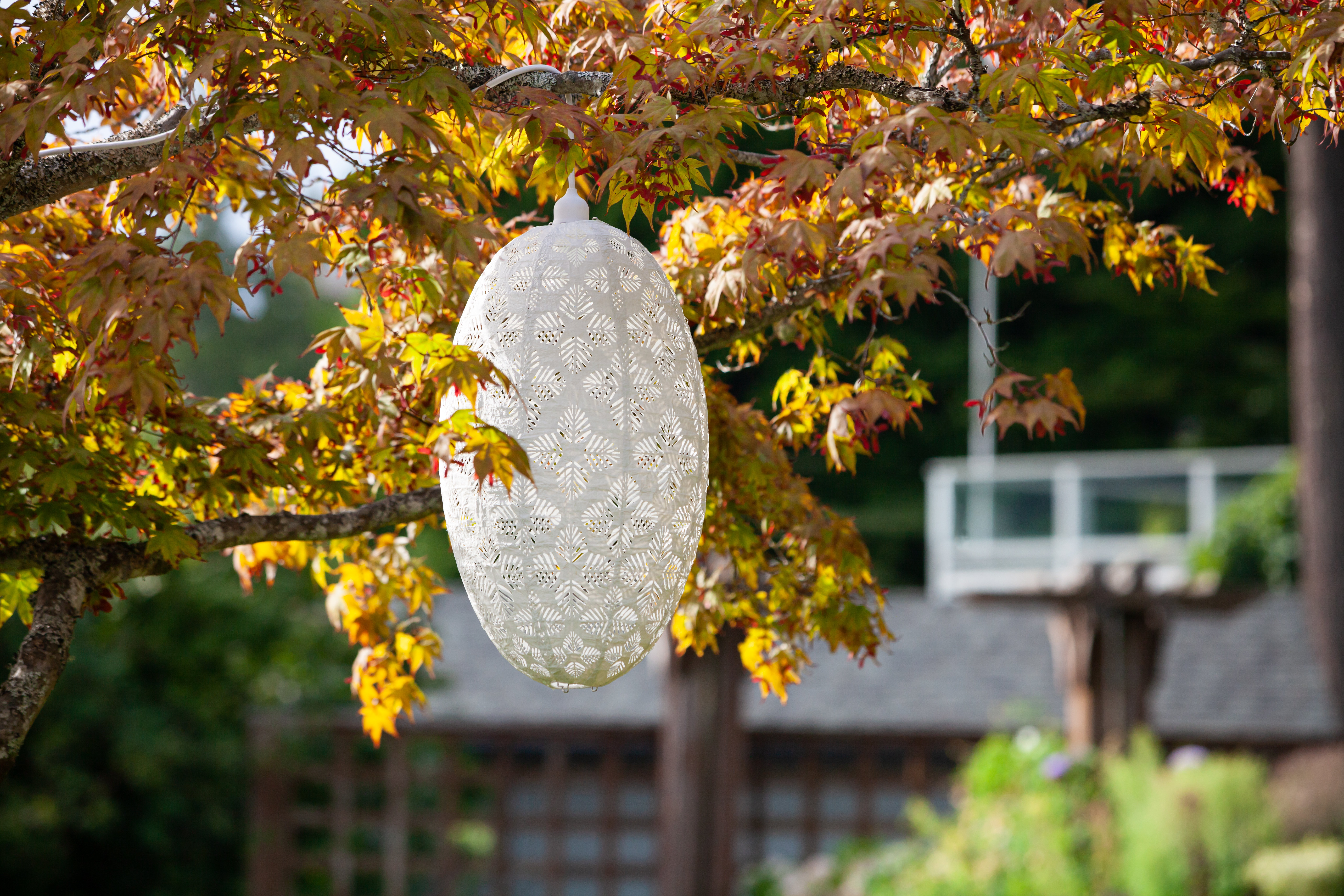 Allsop Home and Garden Stella Nova Geo Palm Pod - White | Wayfair