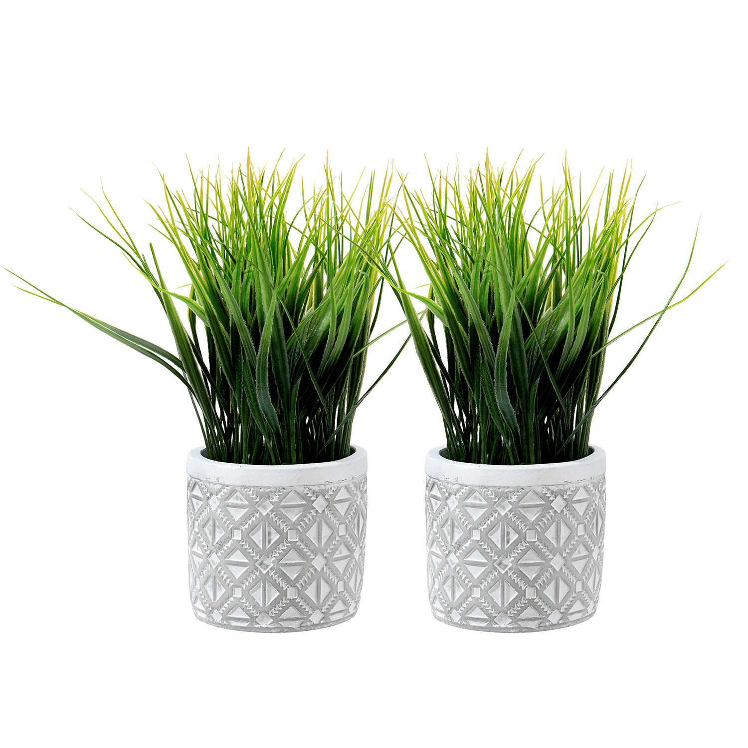 Wrought Studio™ 2 Piece Indoor Modern Small Grass Plants In Pot | Wayfair