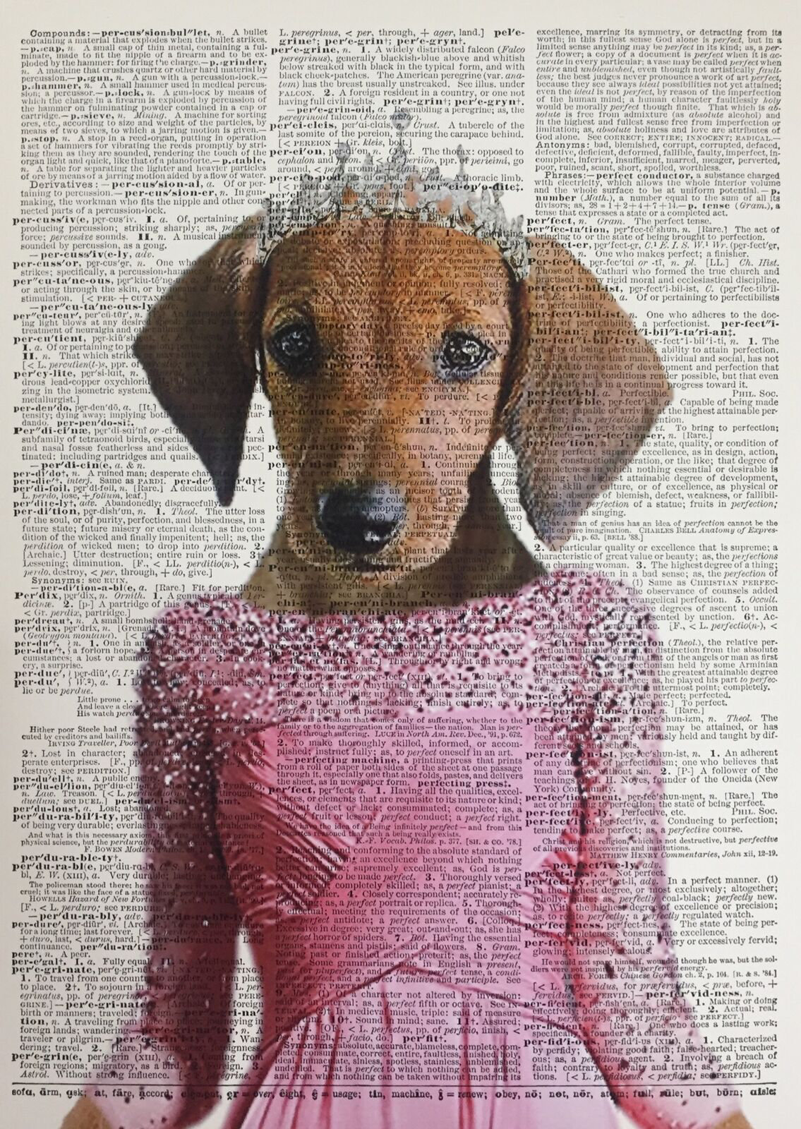 Maturi A3 Dachshund Print - Sausage Dog Dictionary Page Wall Art ...