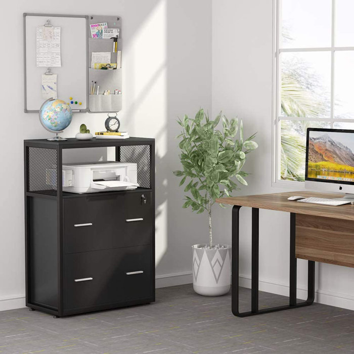 Inbox Zero 23.6'' Wide 2 -Drawer File Cabinet & Reviews | Wayfair