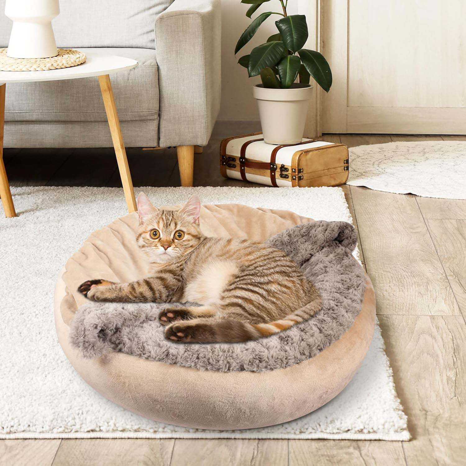 Tucker Murphy Pet™ Small Dog Cat Bed With Hooded Blanket, Cozy Cuddler ...