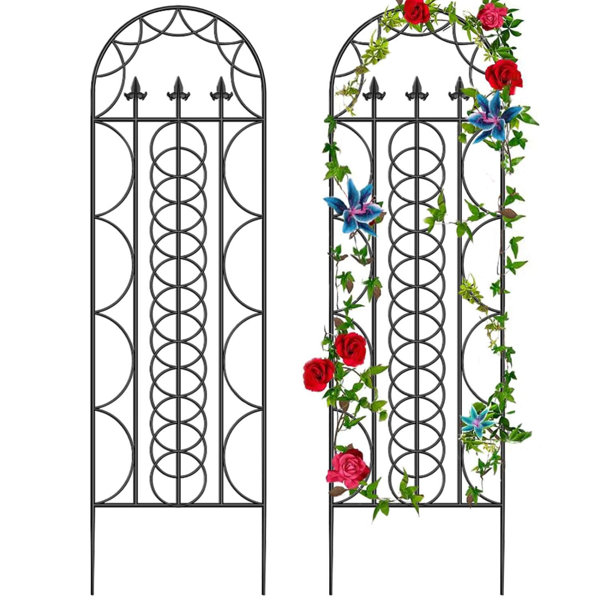 Winston Porter 2-Pack Large Garden Trellises | Wayfair