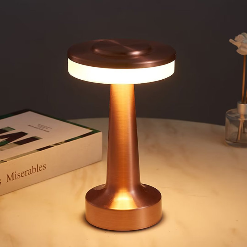 Mercer41 Caidenlee Portable LED Desk Lamp 3-Levels Brightness Touch ...