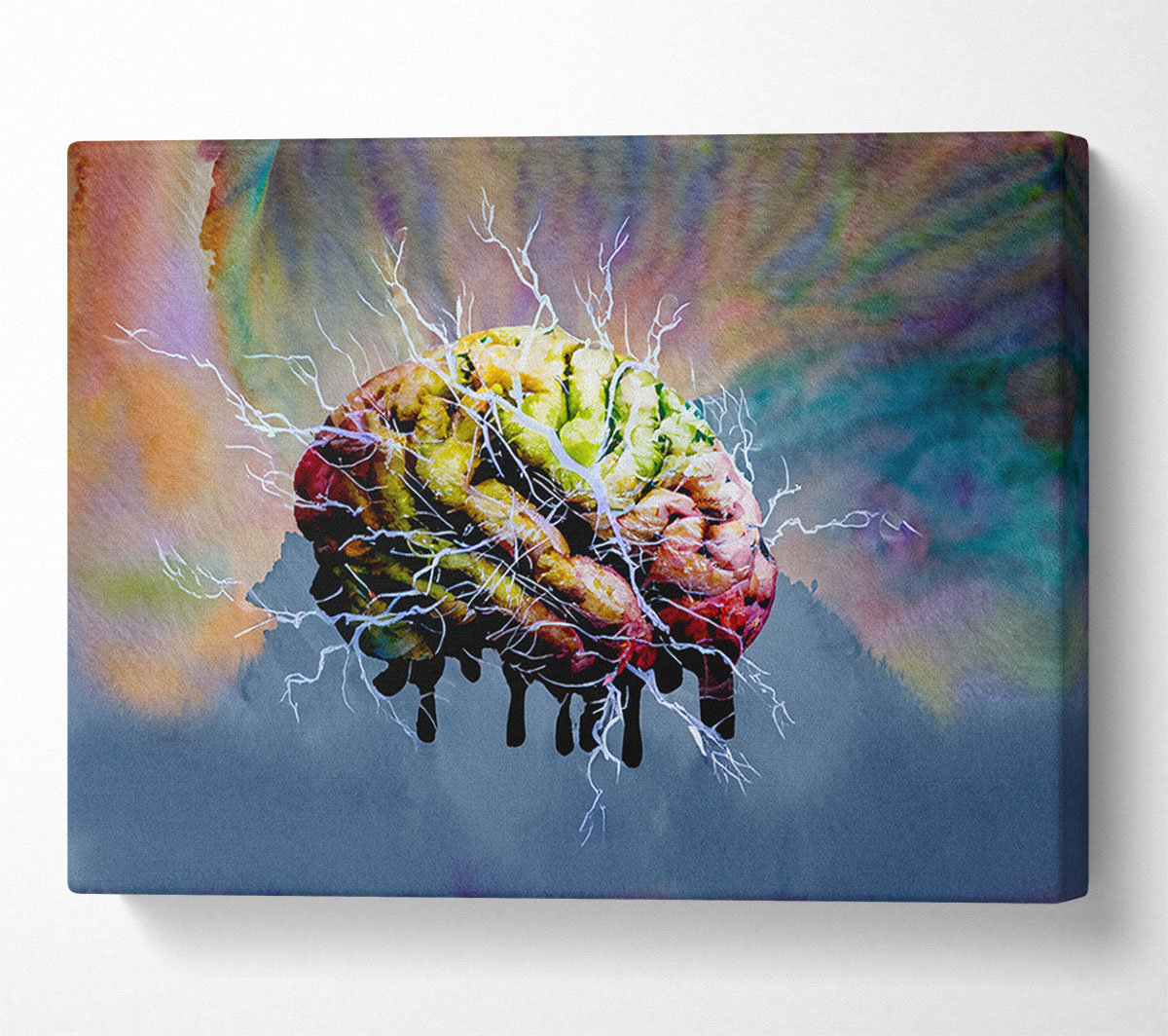 Happy Larry Brain Electricity Canvas Watercolour | Wayfair.co.uk