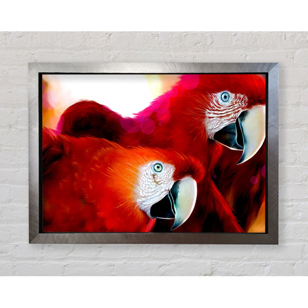 Bright Star Parrots - Single Picture Frame Print | Wayfair.co.uk