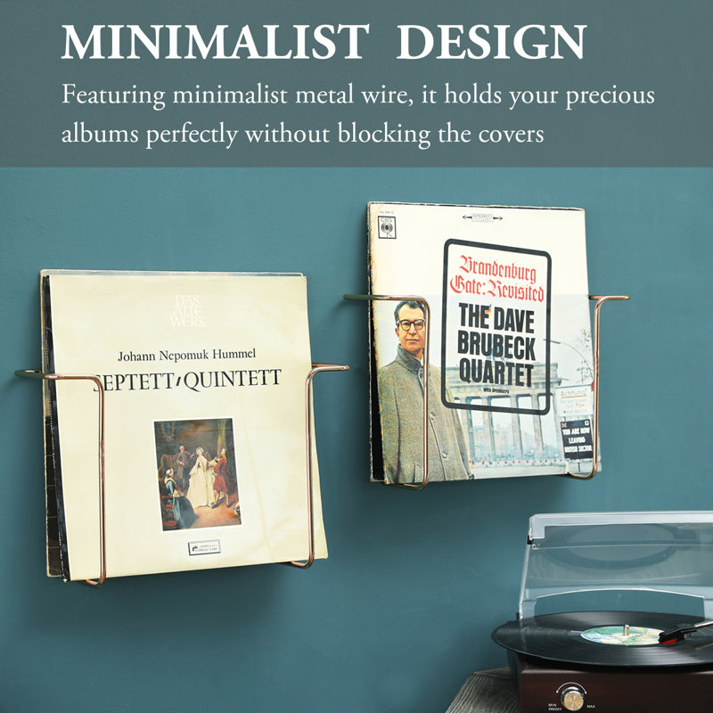 Mercer41 Oleva Metal Vinyl Record Storage | Wayfair