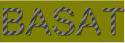 BASAT - Wayfair Canada