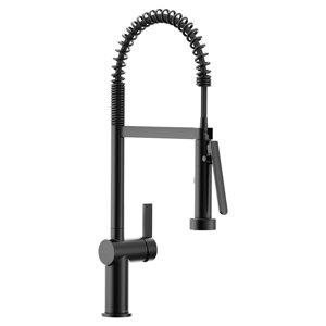 MOEN CIA SPRING KITCHEN FAUCET WITH POWER BOOST PRO & Reviews | Wayfair