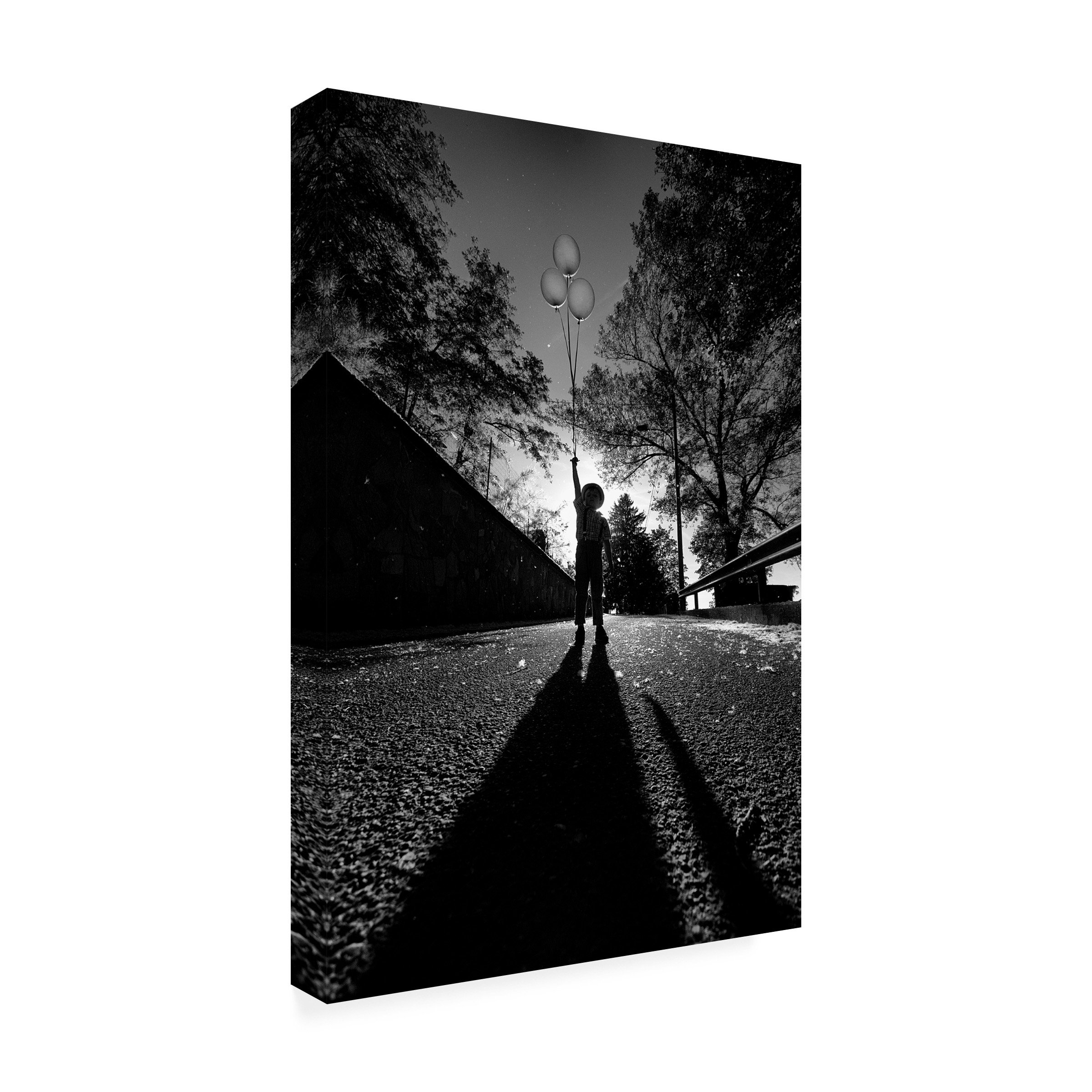 Ebern Designs Carlo Ferrara Up! Canvas Art | Wayfair