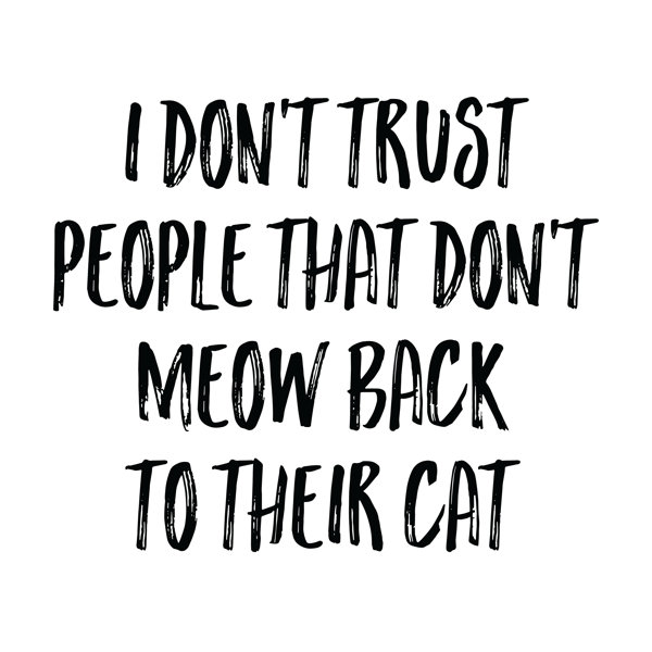 Happy Larry Meow Cat | Wayfair.co.uk