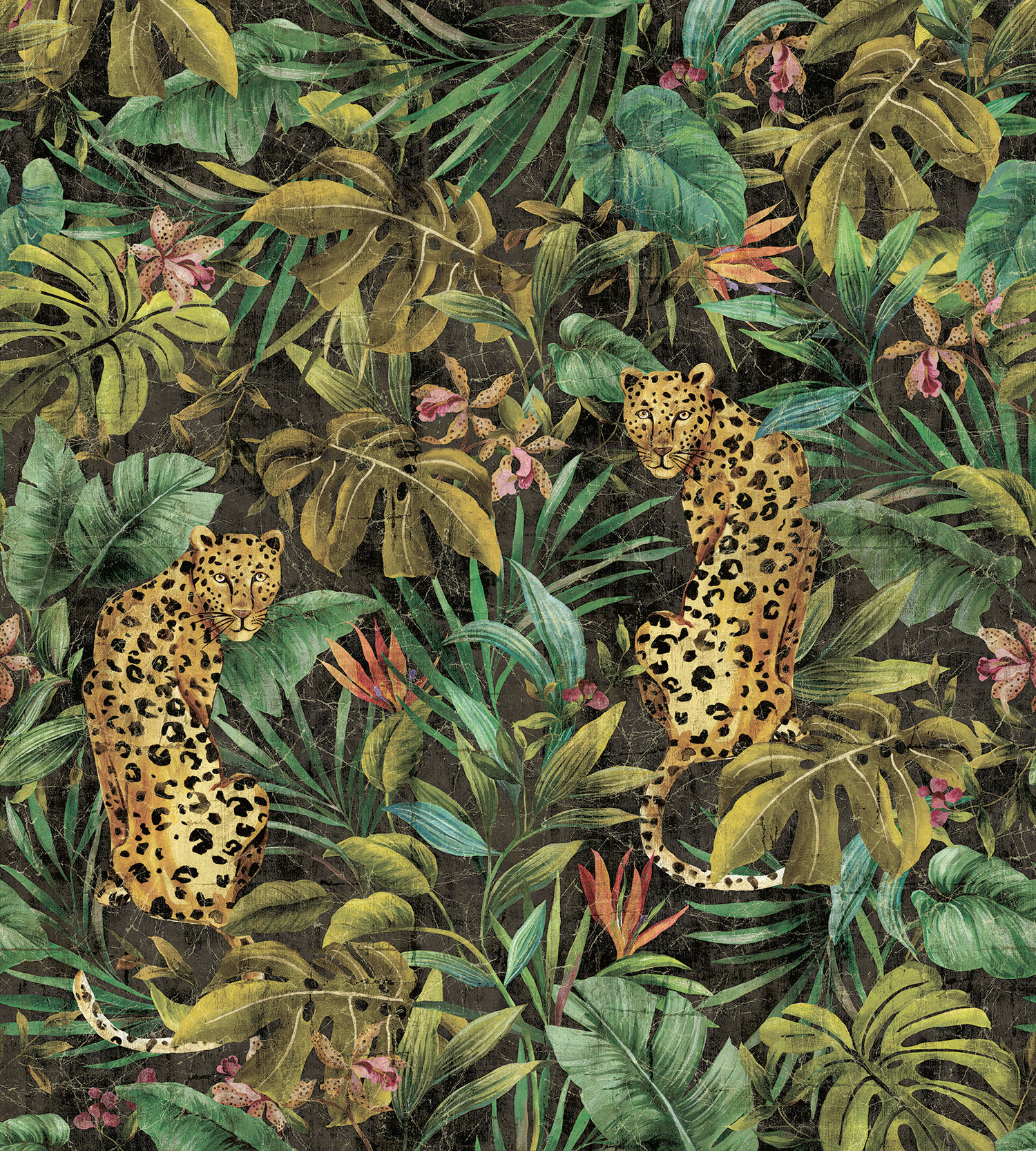 Bayou Breeze Designs Exotica Nonwoven Unpasted Wall Mural - Wayfair Canada