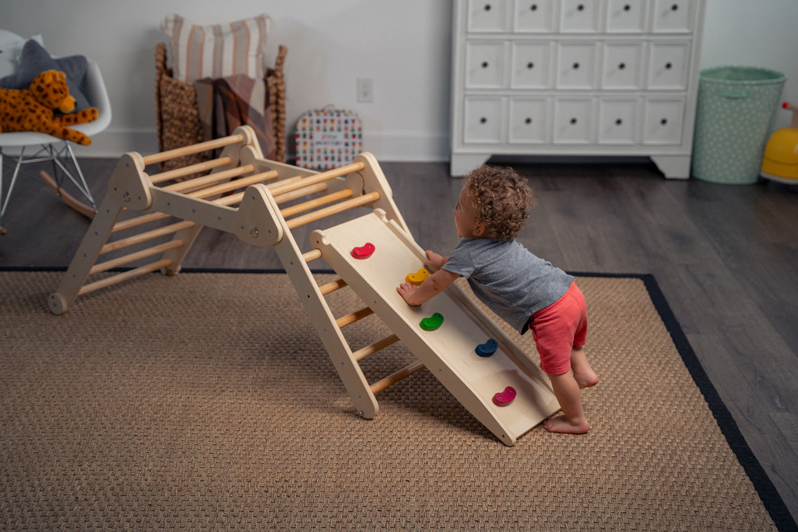 Avenlur Vicus Triangle Climber | Wayfair