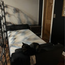 George Oliver Forkey Upholstered Daybed & Reviews | Wayfair