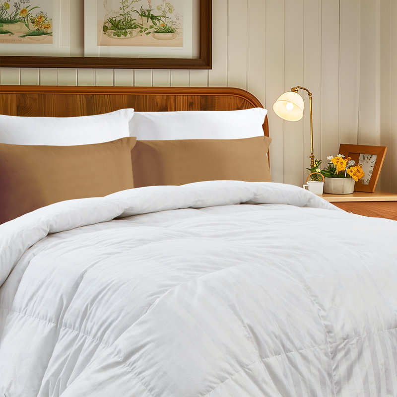 Alwyn Home All Season Goose Feather Down Comforter & Reviews | Wayfair