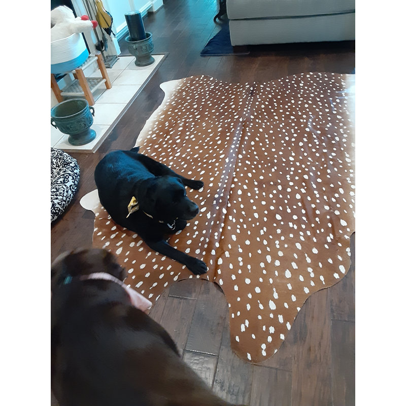 Millwood Pines Oakley Handmade Axis Deer Print Cowhide Rug | Wayfair