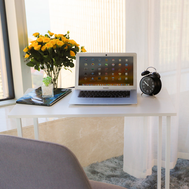 ErgoDesign Metal Base Computer Writing Desk & Reviews | Wayfair